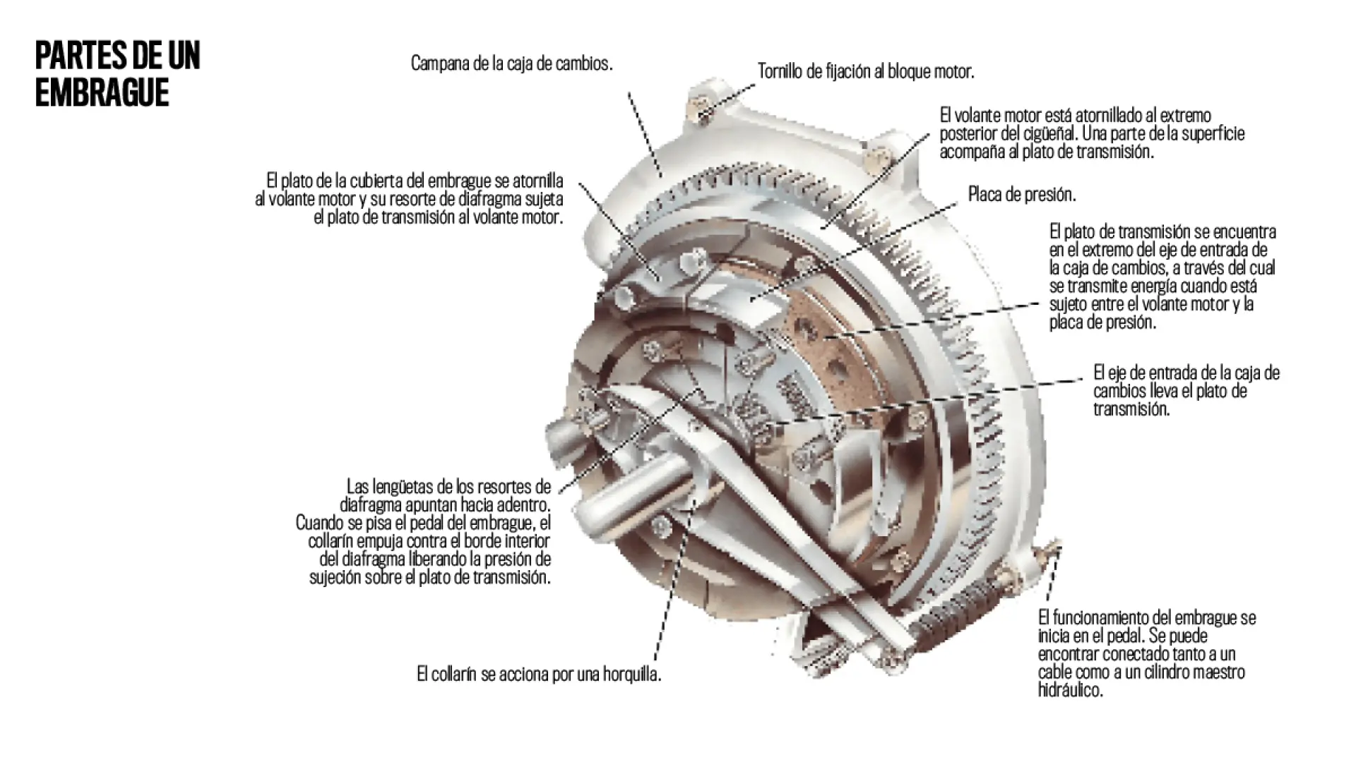 Partes básicas de un embrague de coche
