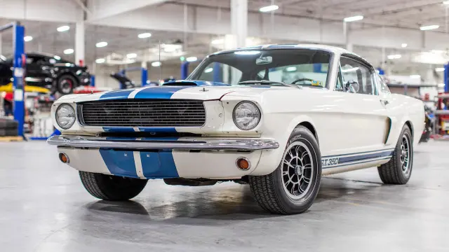 Galería: Shelby GT350H de Carroll Shelby